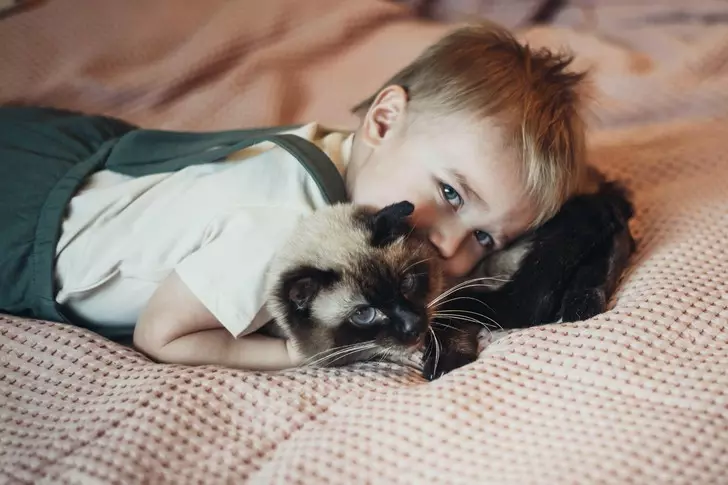 Foto nummer 1 - Katter kan hjelpe barn med autisme