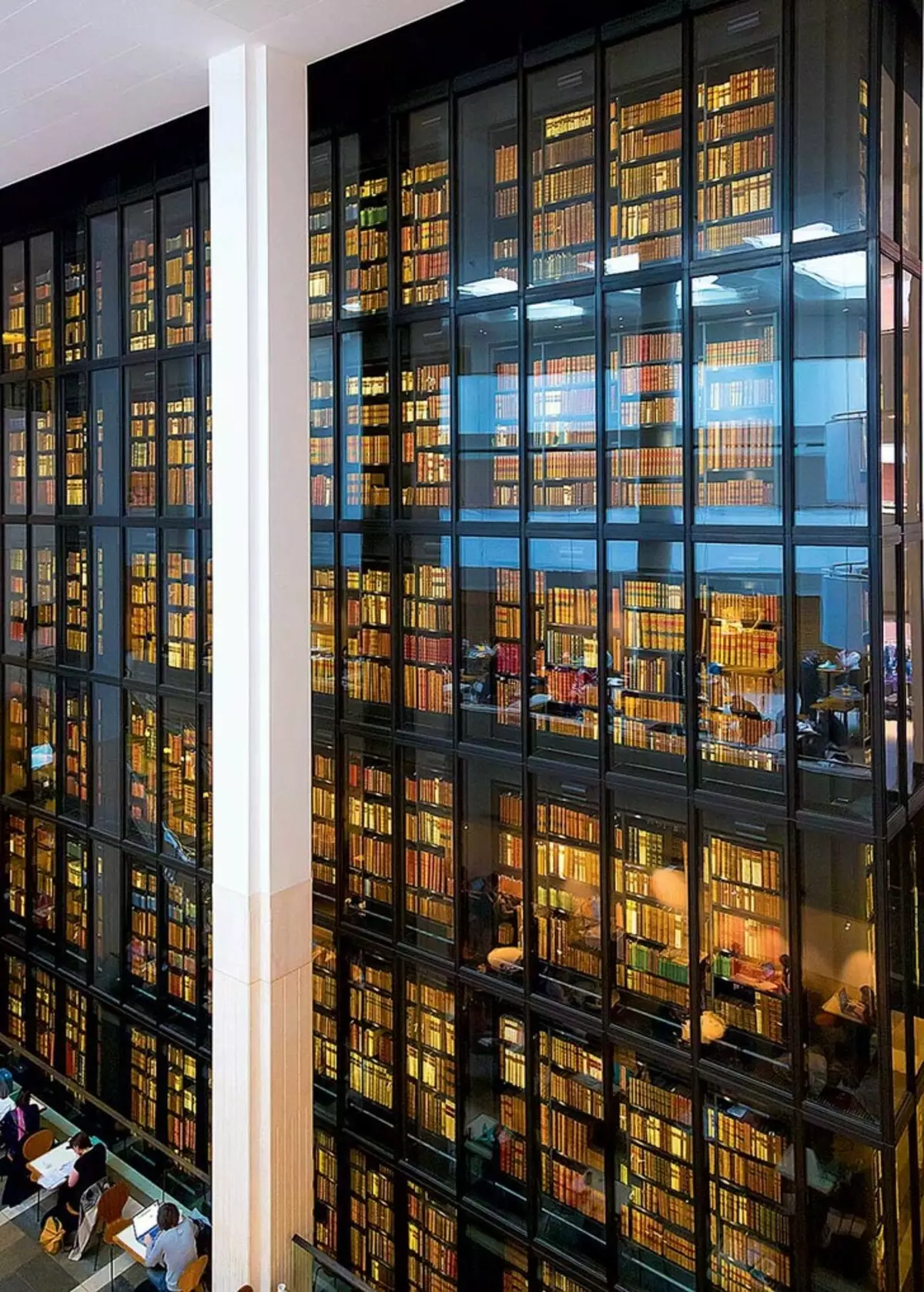 Foto Foto 10 - Book World: 12 Perpustakaan sing nggumunke