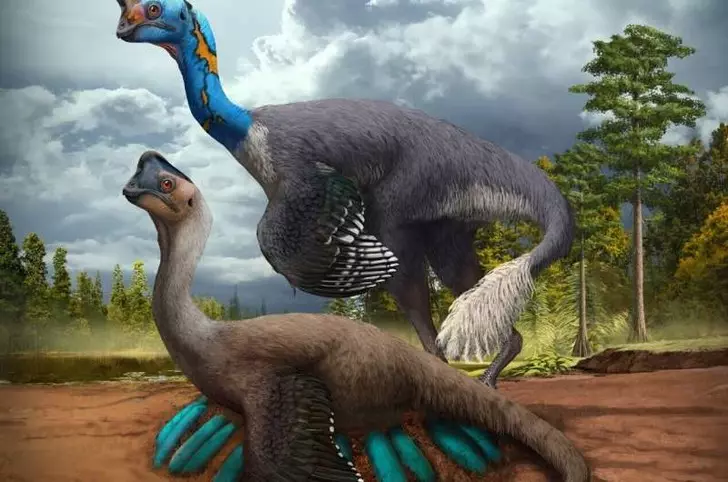 תמונה №1 - דינוזאור נשאר נמצאים על הביצה הנחת