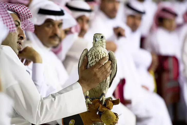 Foto №8 - Qatar: Futuro real