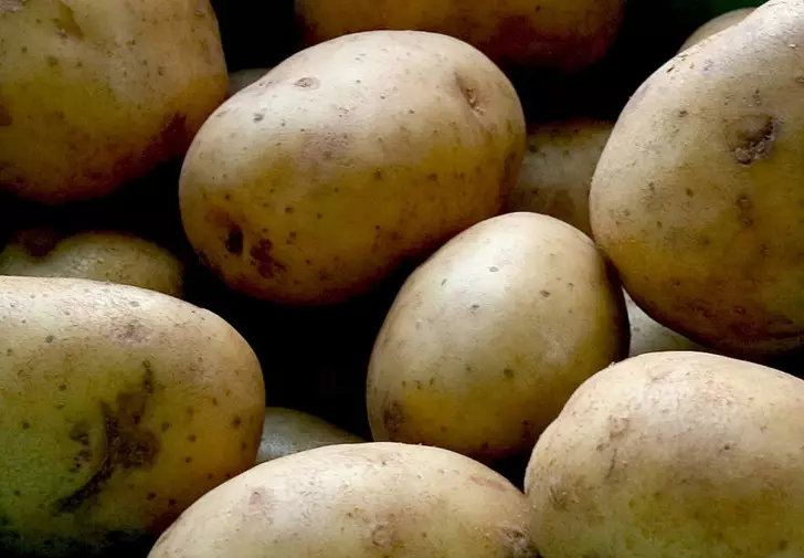 Foto №1 - kad cilvēks pirmo reizi mēģināja kartupeļus