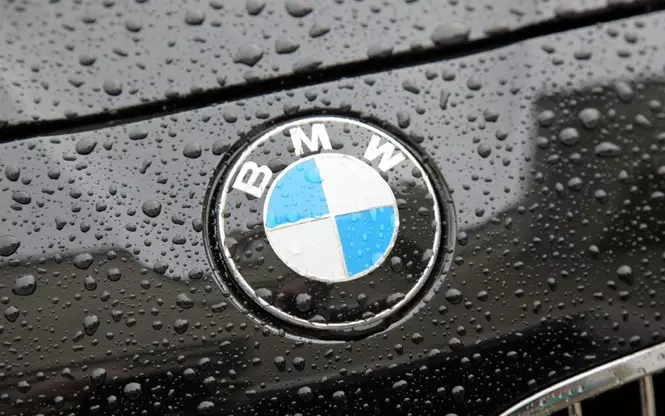 Photo №2 - not a simple decoration: 20 automotive emblems with meaning