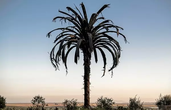 Museus a l'aire lliure: 6 escultures d'aparcament de tot el món 31547_1