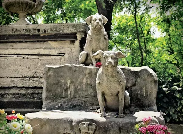 Fotoğraf №2 - Seine'daki Köpekler