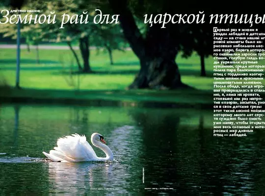 Foto nummer 1 - Jordparadis för tsaristfågel