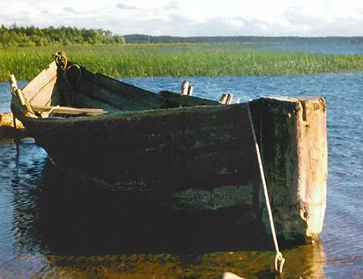 Kuva №1 - järven järvenranta