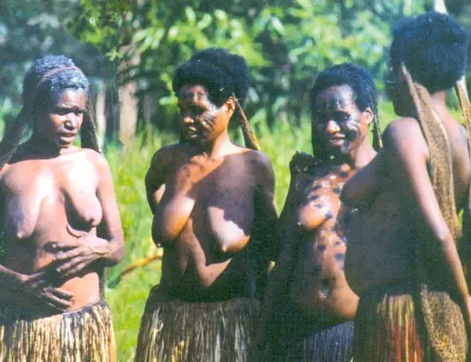 Litrato №1 - panamilit sa una nga kalibutan, o pagbiyahe sa labing bag-ong tinuud nga mga sabaw sa New Guinea