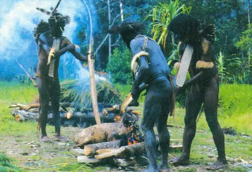 Foto №3 - Hüvasti primitiivse maailmaga või reisi viimastele uute Guinea viimastele savensisse