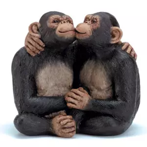 Foto №1 - Primater er i stand til at blive sympati