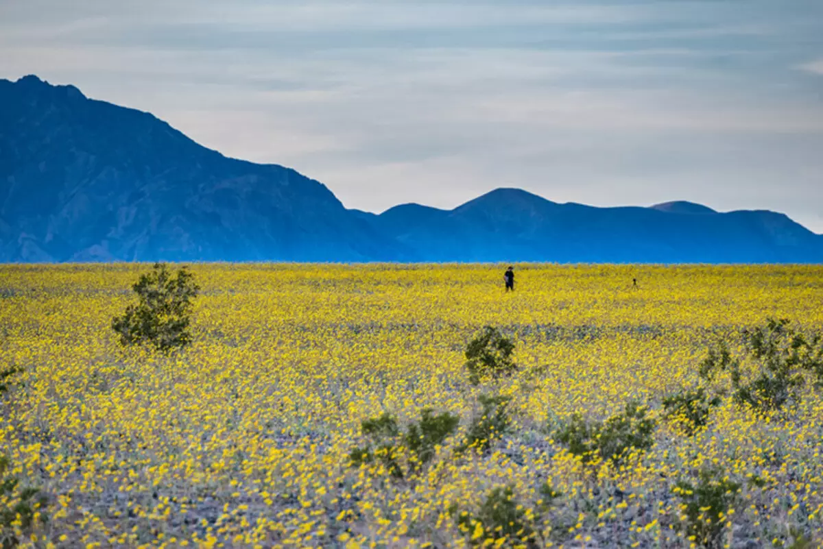 Photo number 10 - Putting in extremes: 10 most unusual national parks on the planet