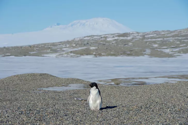 Photo number 6 - Putting in extremes: 10 most unusual national parks on the planet