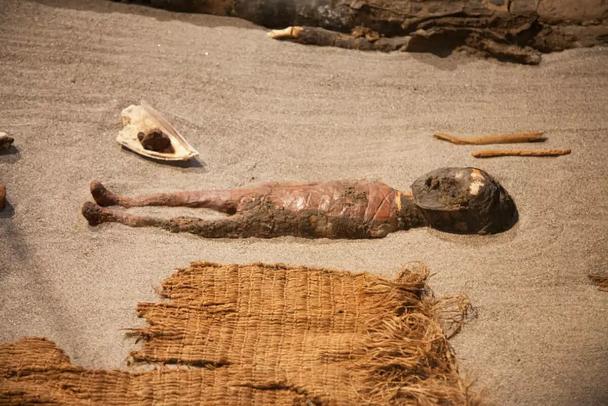 Foto Nr. 1 - Onbekende culturen van Zuid-Amerika: Chinchorro en Parakas