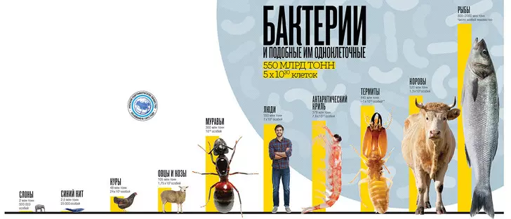 ຮູບ№1 - Infographics: ຄວາມຮູ້ຈັກກັບເພື່ອນບ້ານ