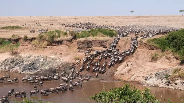 Kamora sebomo: 5 maeto a maeto a ho tsamaea, ho qala hore na o ka joang 380_17