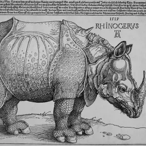 Foto numurs 1 - aizvēsturiskā rhino nozaga Jakutijā