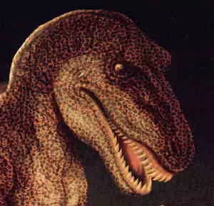 Фото број 1 - Најчесто диносаурусите живееле во Нигер