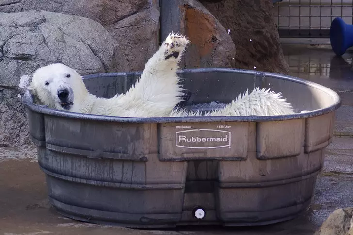 Photo №1 - Jour de bain