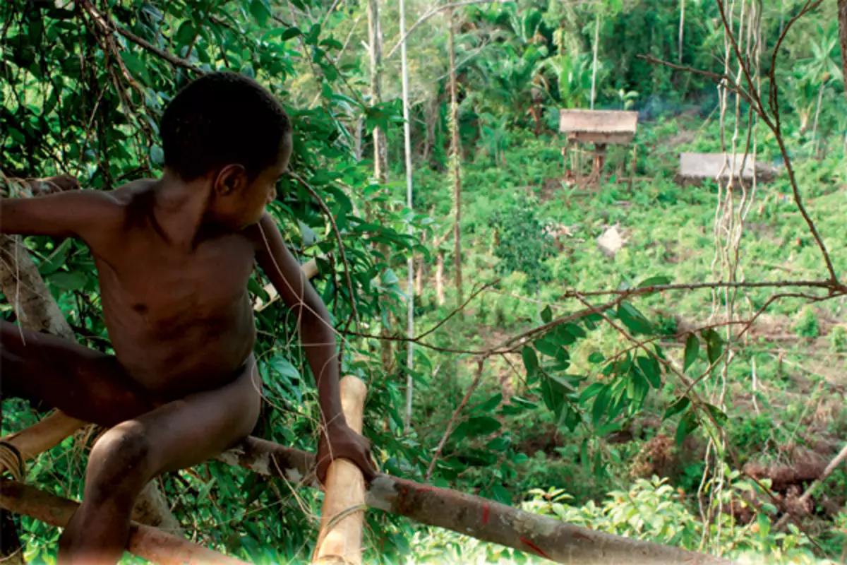 Larawan №1 - Mas mataas na lipunan: Indonesian Cova Tribe.