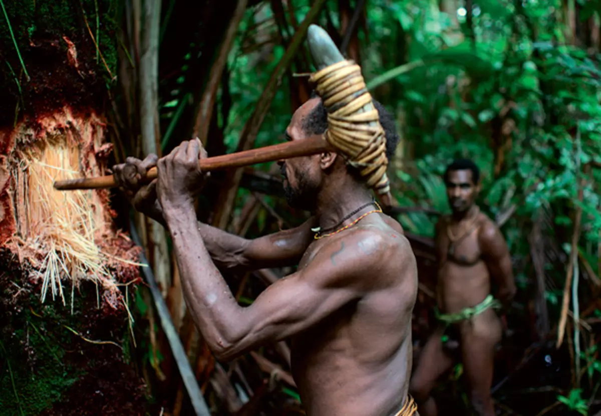 Фотографија №5 - Високо друштво: Индонезијски кратак племе
