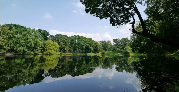 Foto číslo 1 - holandská sobota v parku Leforrovo