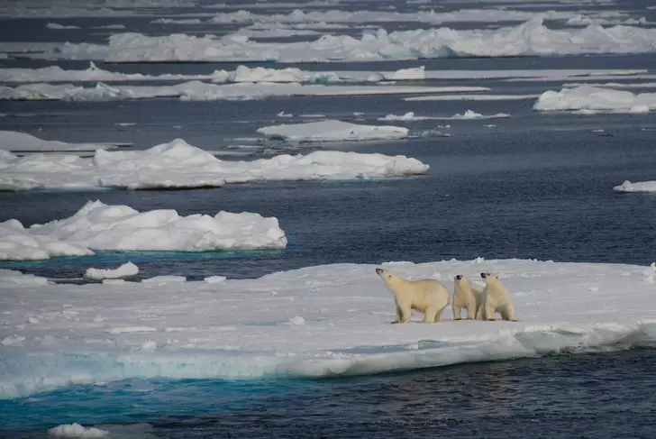 Fọto №1 - Agbegbe ti yinyin ti Arctic de opin igbasilẹ ti o kere ju