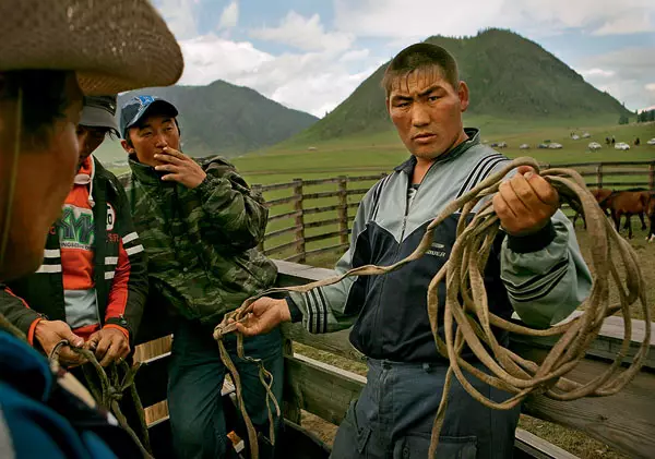 Fotó №4 - Vad szíve: Altai rodeo titkai