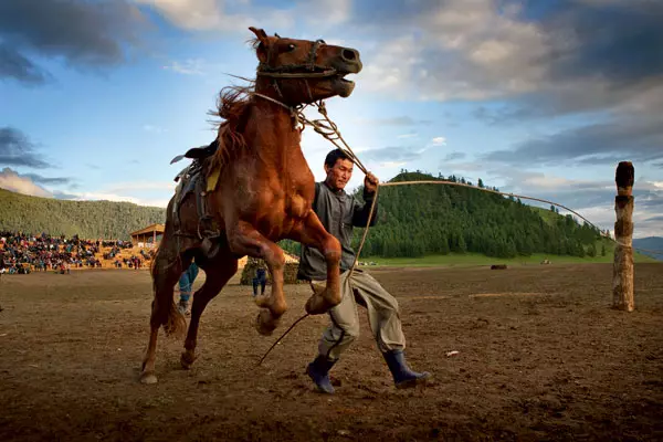 Fotó száma 5 - vad szív: Altai rodeo titkai