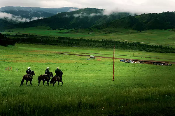 ფოტო №9 - ველური გული: Altai Rodeo Secrets