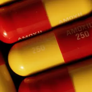 Fotó száma 1 - British ellen antibiotikumok