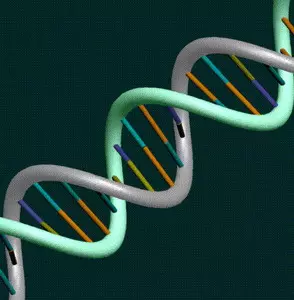 Numero ng Larawan 1 - Ang elektronikong istraktura ng DNA ay na-decrypted