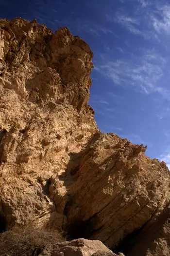 Fotografija №2 - na stranama ceste u pustinji Negev