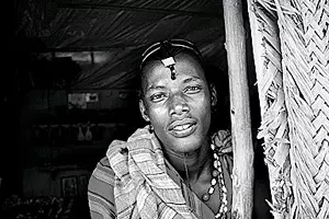 照片編號2 - 忠實的Polygum：Masai