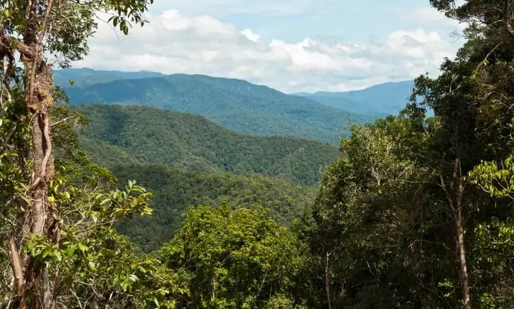 Foto número 1: nombre es la isla con la mayor variedad de plantas del mundo