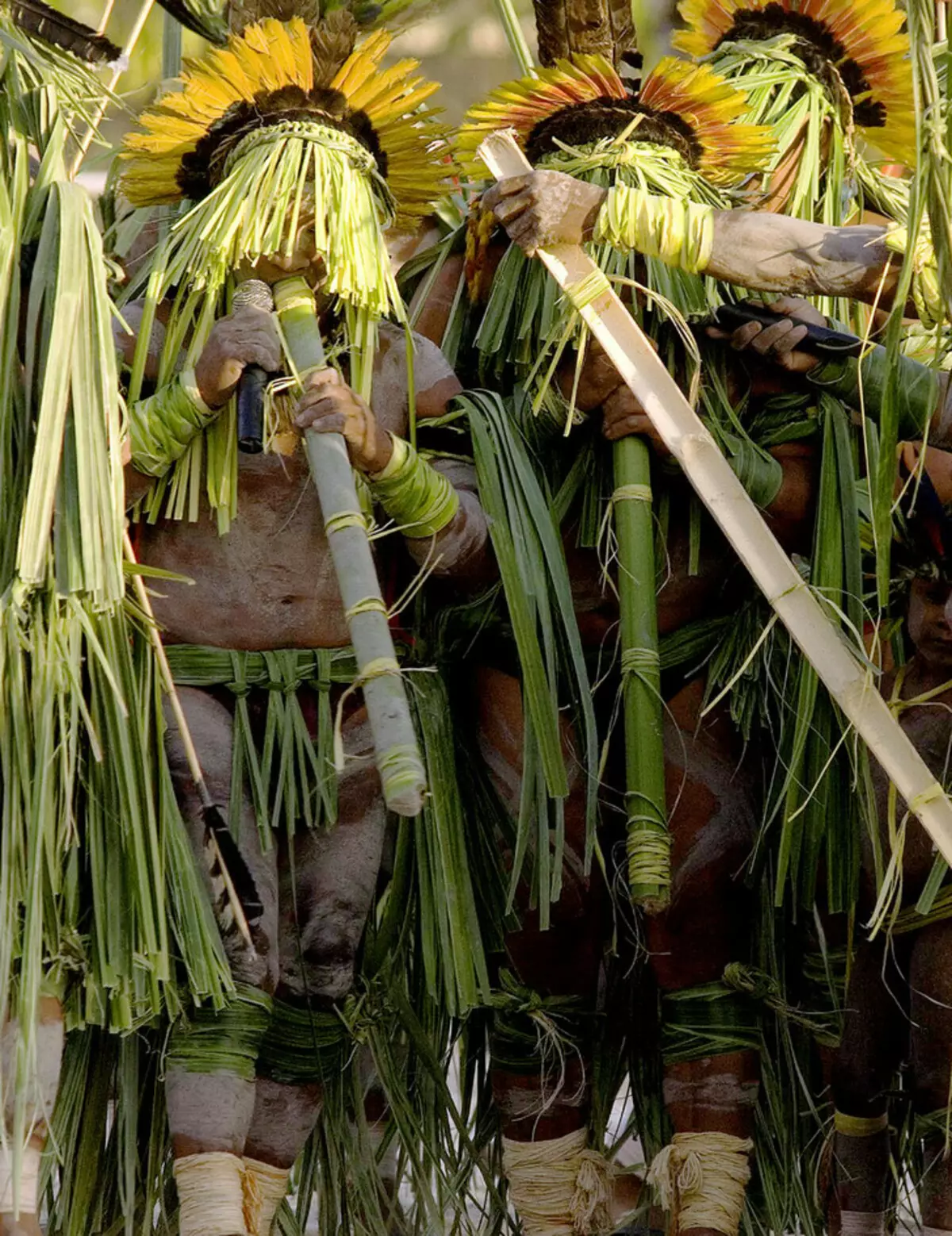 Foto №1 - Brasilien: ritual Yaokva