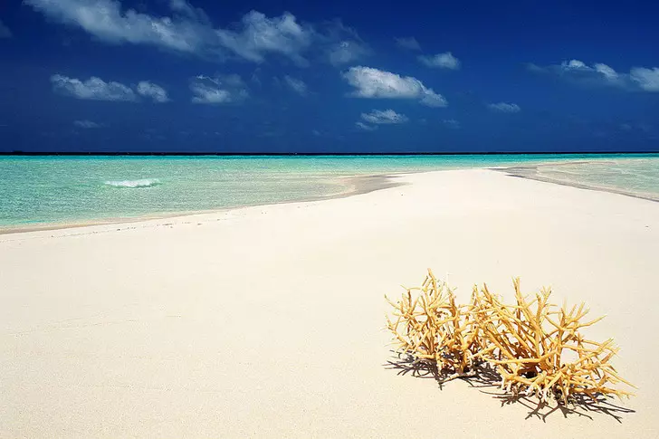 Photo №4 - National Protection: Stone Jungle in Maldives