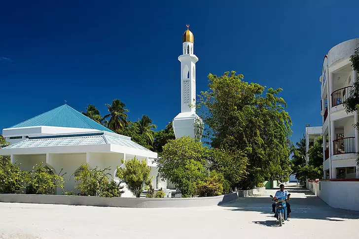 Llun №7 - Gwarchodaeth Genedlaethol: Jyngl Cerrig yn Maldives