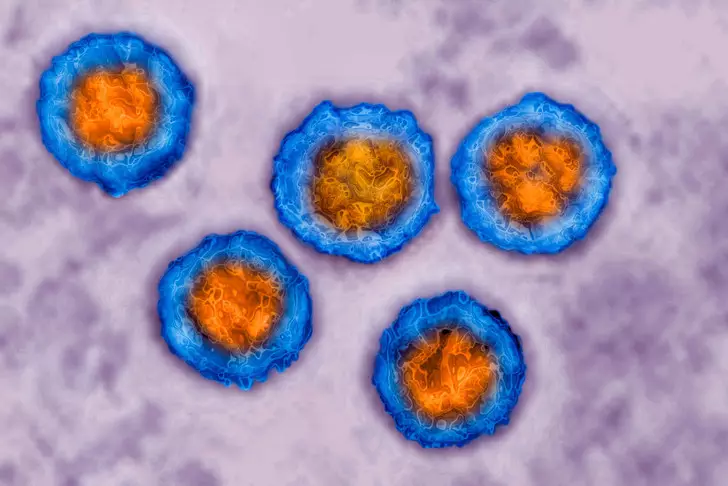 Nombor Foto 1 - Para saintis menawarkan pendekatan baru untuk rawatan herpes