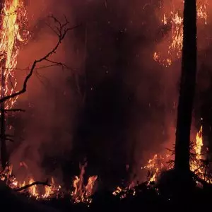 Foto №1 - Skogsbrand blåste upp ett gaslager i Puglia