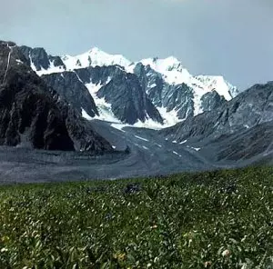 Foto №1 - es van trobar els turistes desapareguts a Altai