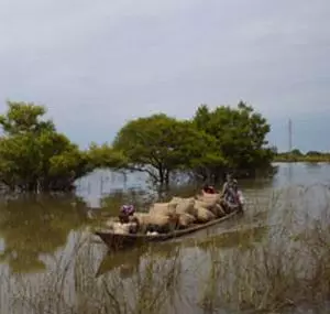 Nombor Foto 1 - Afrika mengancam kelaparan akibat banjir