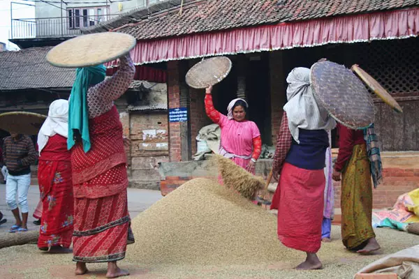 फोटो №2 - हिमालयी श्राइन्सची विक्री