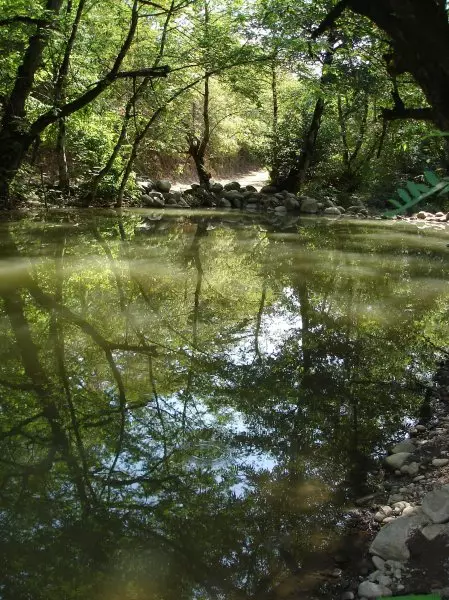 Photo number 8 - south of the camp of the Shemakhan Queen