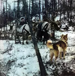 Fotoğraf Numarası 2 - ormanda, nehirde ve ...