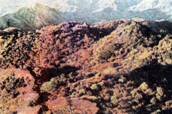 ფოტო ნომერი 1 - წვიმიანი მთები კოდაგუ