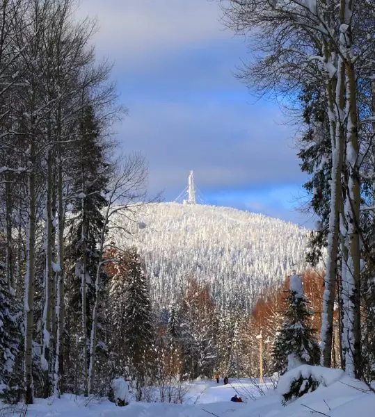 Foto Nummer 6 - Die Welt der schneebedeckten Hitze