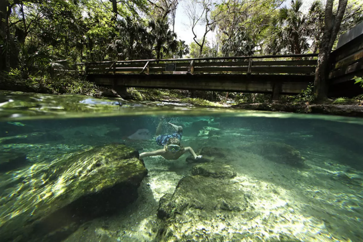 Foto №1 - Waterdei