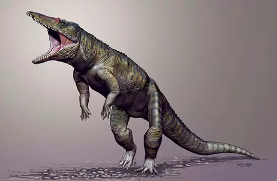 Foto №1 - Paleontologer återskapade bilden av en gammal spinning krokodil