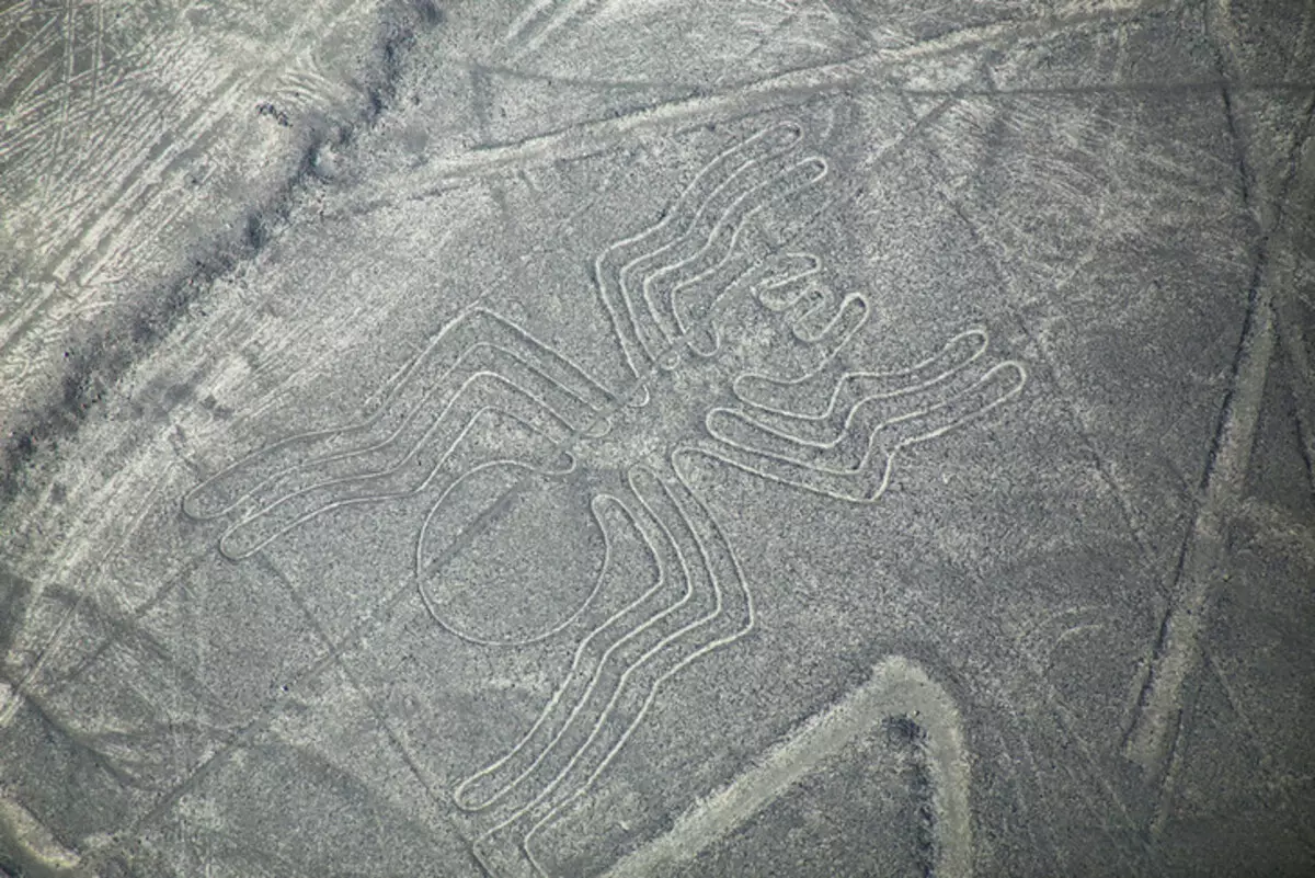 Ifoto №1 - Abacukuzi b'ivya kera bakemuye ibanga rya Geoglyphs kuri plateau ya NASK