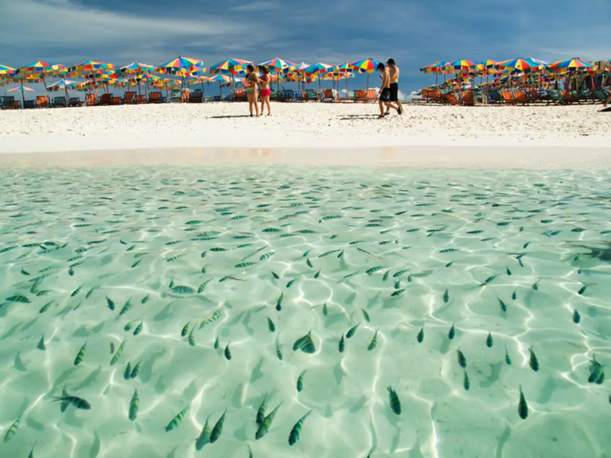 Foto Foto 1 - Thailand nutup telung pulo kanggo turis