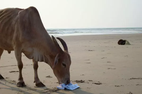 पश्चिमी उद्योगको समुद्री किनारमा युरोपियनहरूको ट्रेसहरू